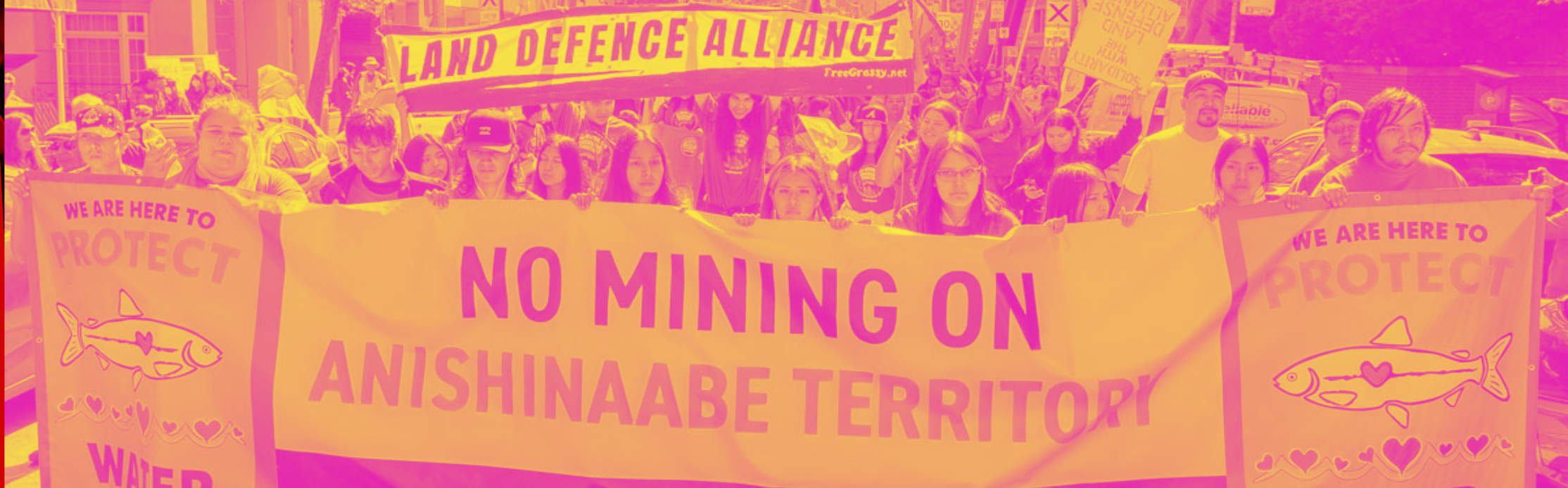 Solidarity With The First Nations Land Alliance Defending Indigenous
